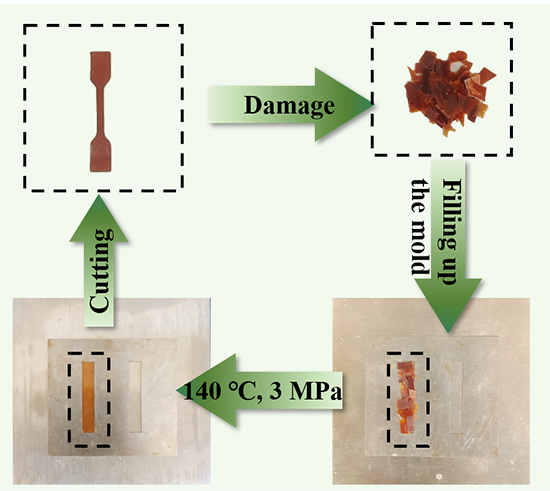 Daidzein-Based Polyhydroxyurethanes: Strong, Rapidly Self-Healing, and ...