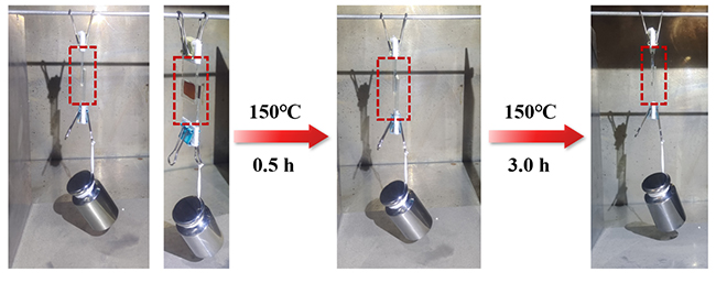 Daidzein-Based Polyhydroxyurethanes: Strong, Rapidly Self-Healing, and ...