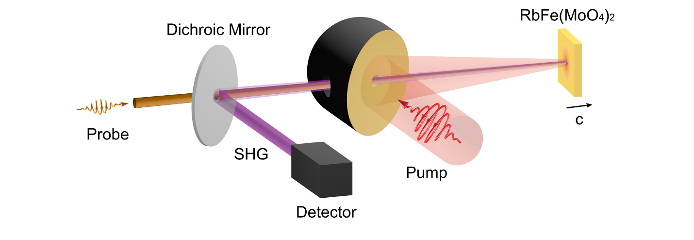 Ultrafast Circular-Phonon–Driven Switching of Ferroaxial Order ...