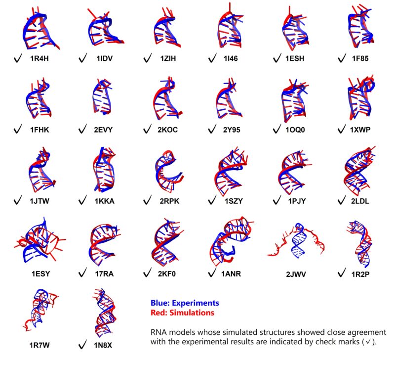 Atomistic RNA Stem-Loop Folding from Extended Chains - Advances in ...